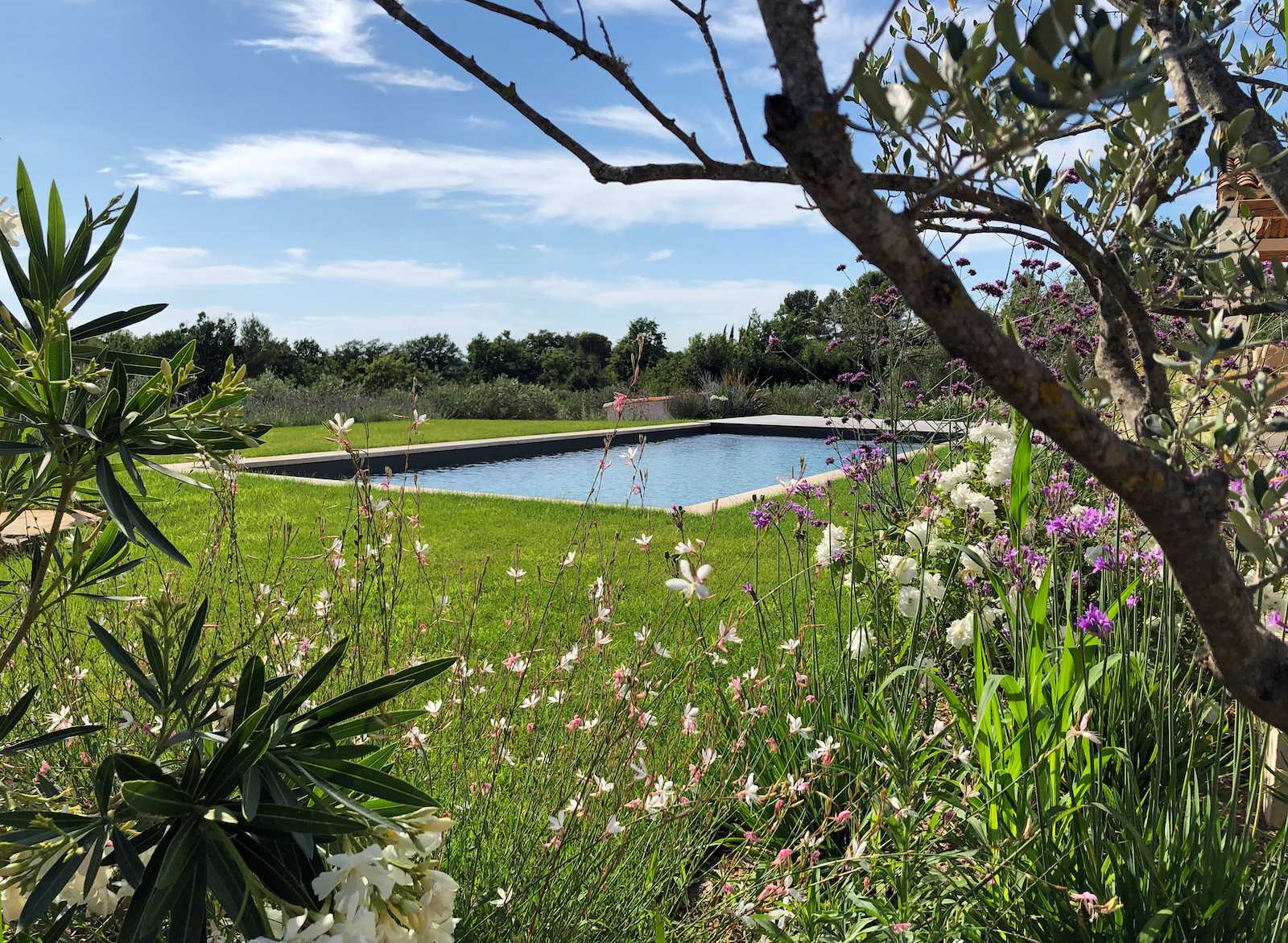 Landscaping of a provencal panoramic view point garden
