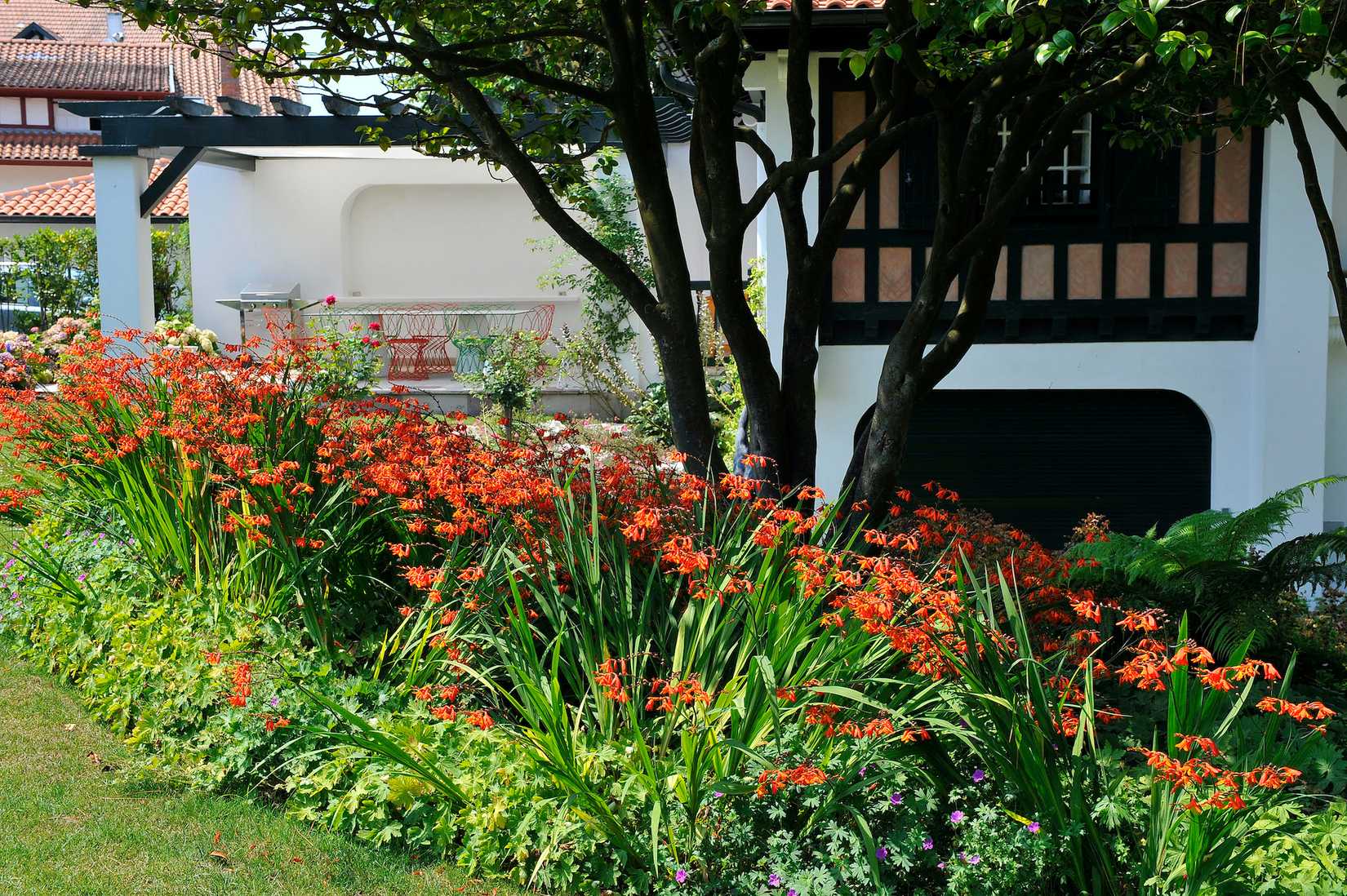Landscaping around a basque house
